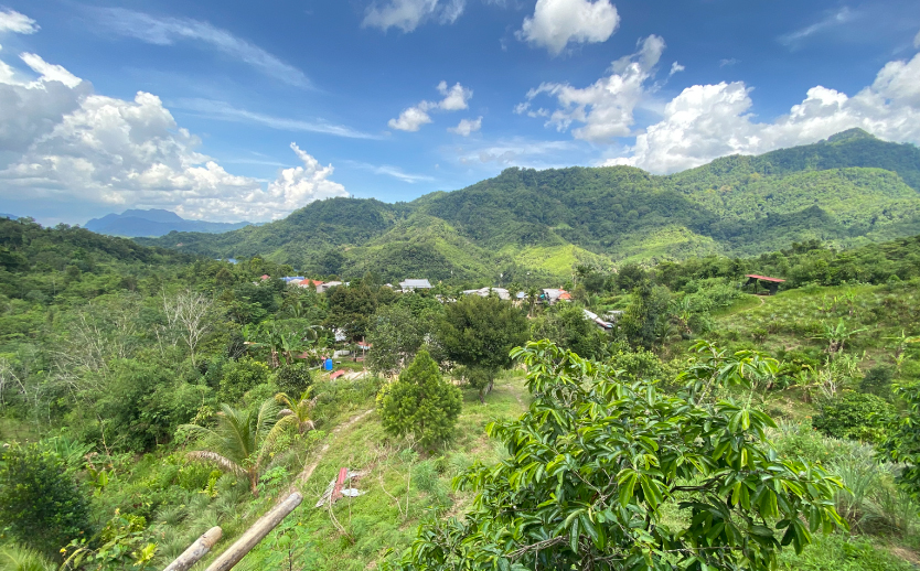 Combining Knowledge for a Fundamental Innovation of Land Use Program ...