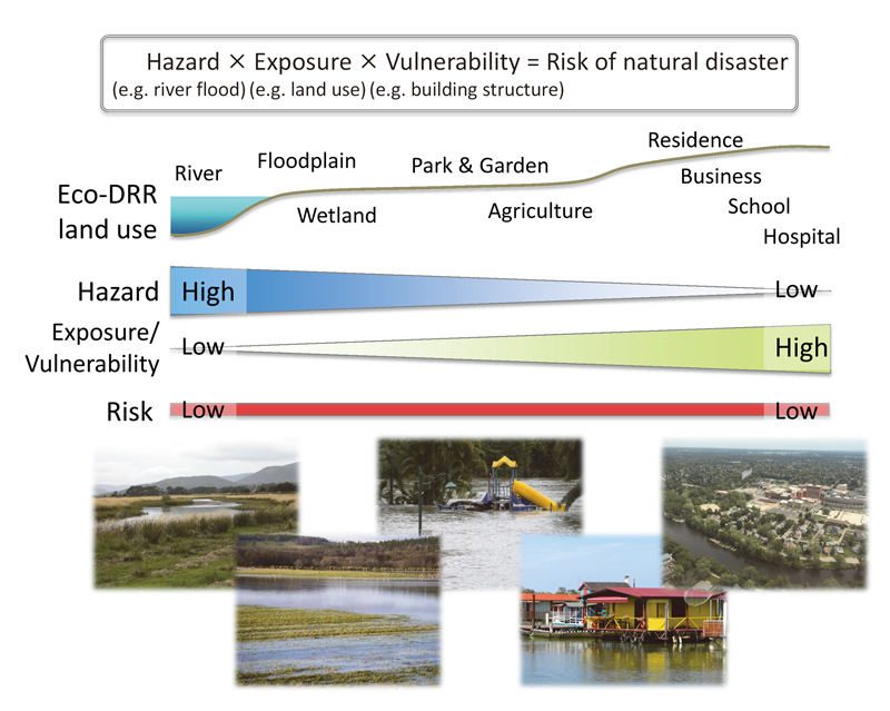 Research and Social Implementation of Ecosystem-based Disaster Risk ...